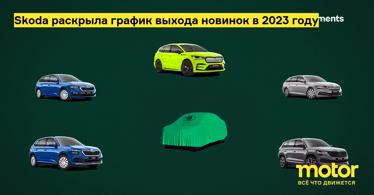 Skoda Rckrufaktion 2023